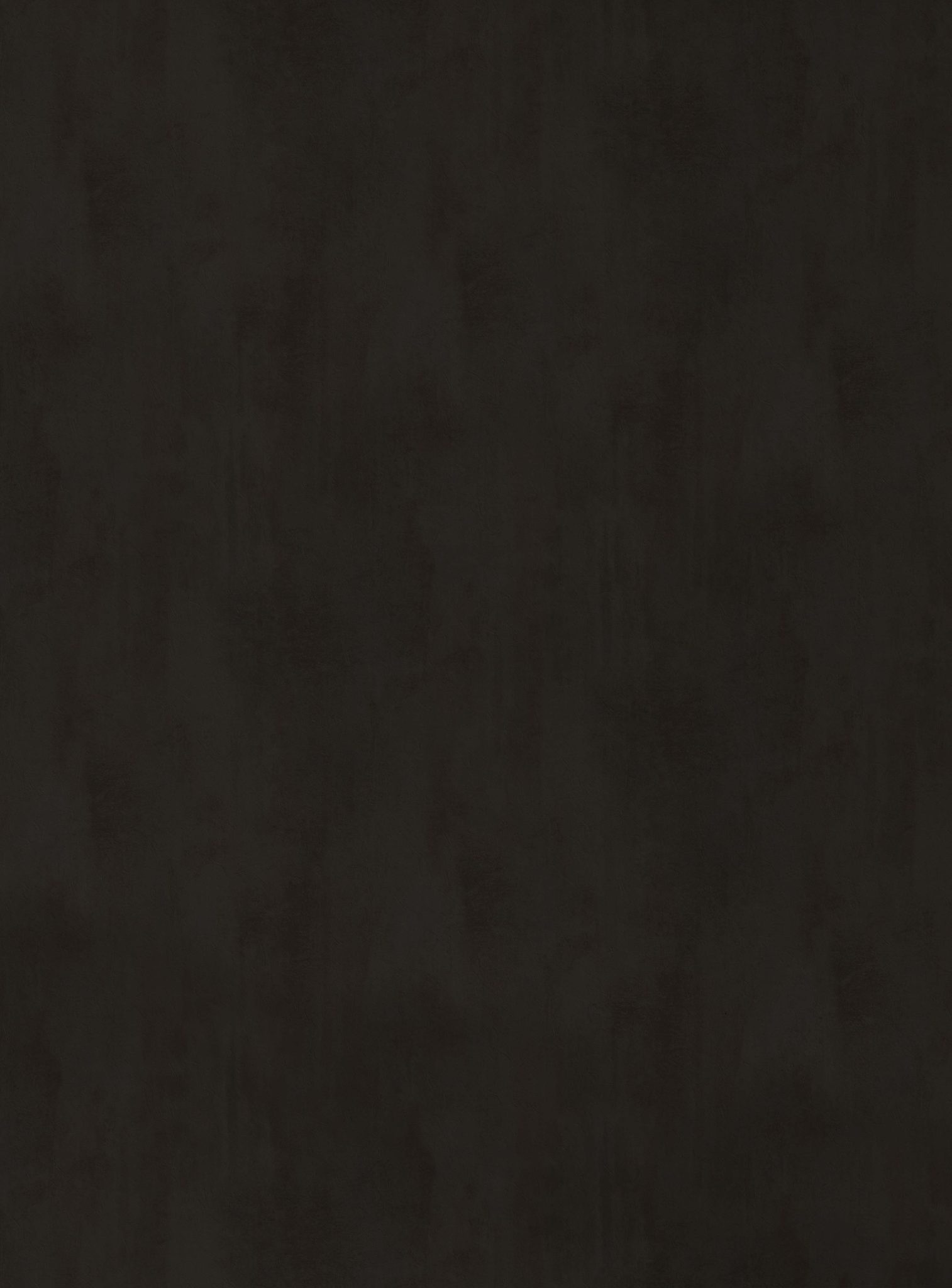 Ares FB49 FS - Hubler